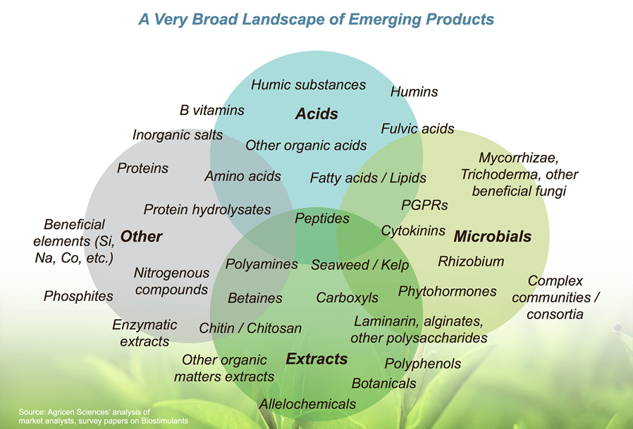 Agriculture Biostimulants | Crop Production | Plant Health